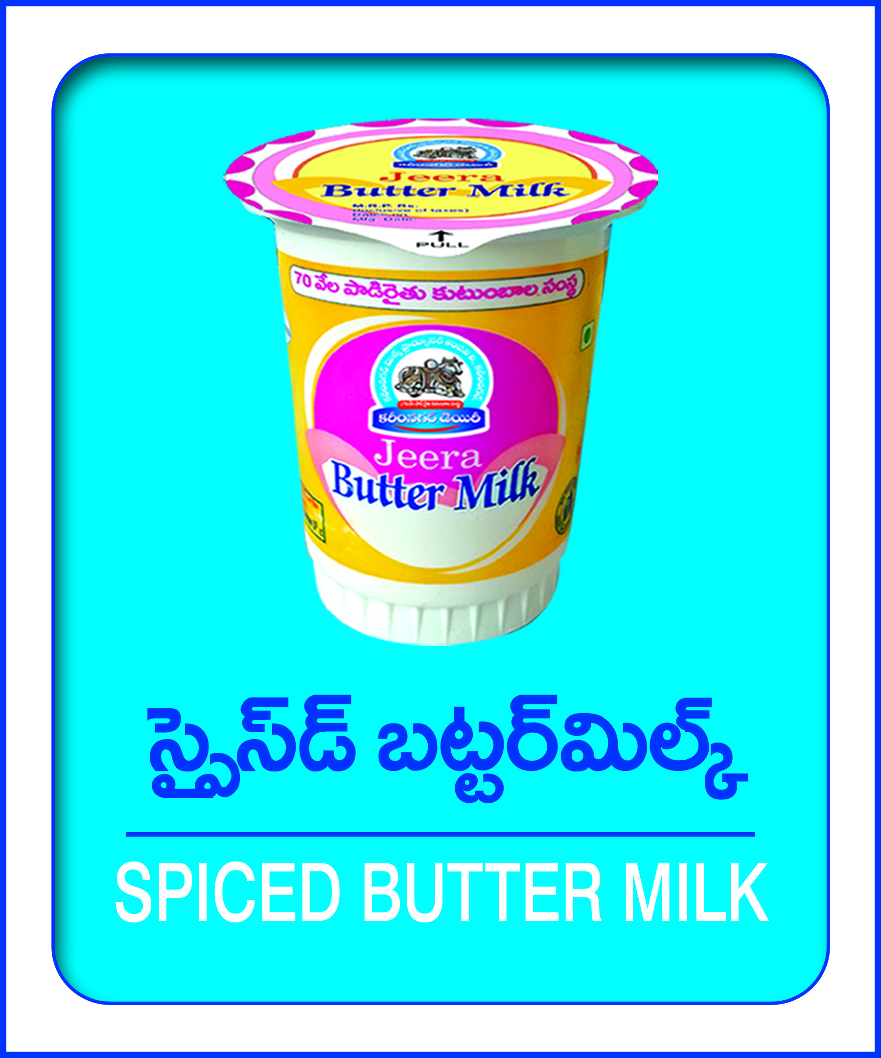 Products | Karimnagar Dairy